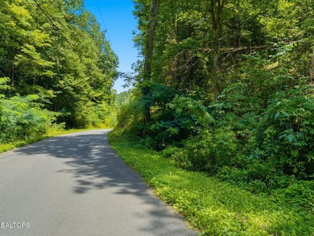 Gnatty Branch Rd Lot 3, Sevierville, TN 37876