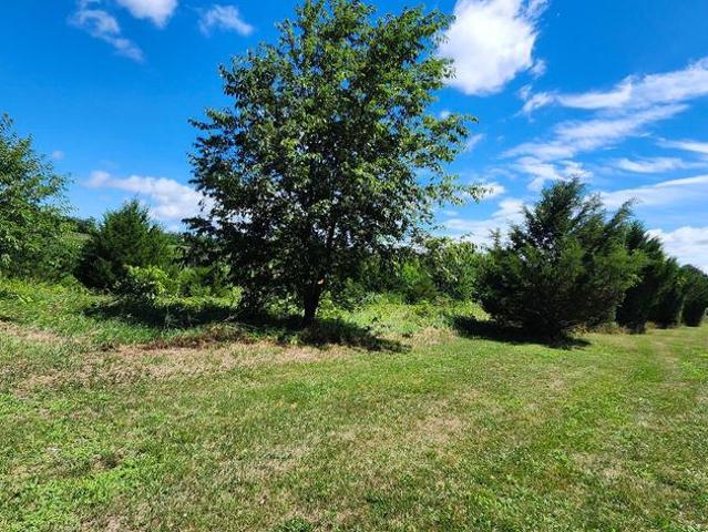 Ground Mole Lane # LOT 5