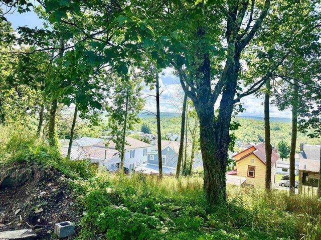 Groundhog Aly Lot 5, Davis, WV 26260