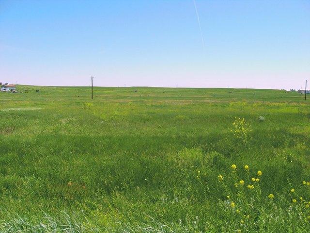 Grouse Rd Lot 61, Smithwick, SD 57782