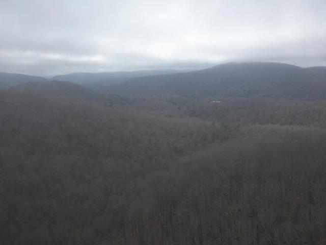 Grouse Ridge Rd, Harriman, TN 37748