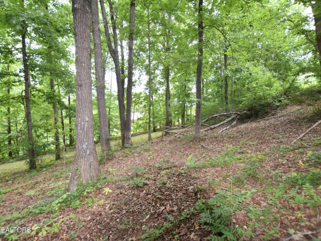 Grove Lane, Clinton, TN 37716