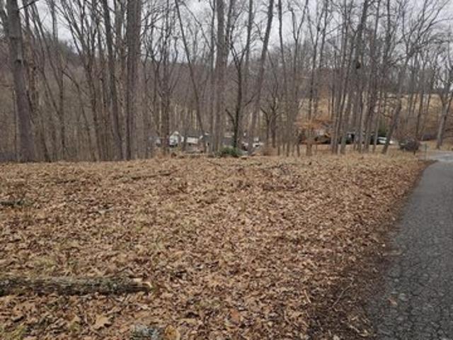 Grove Park Dr, Bristol, TN 37620