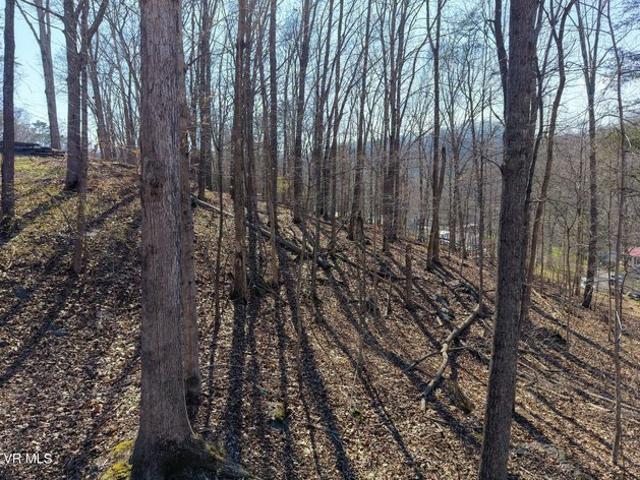 Grove Park Dr, Bristol, TN 37620