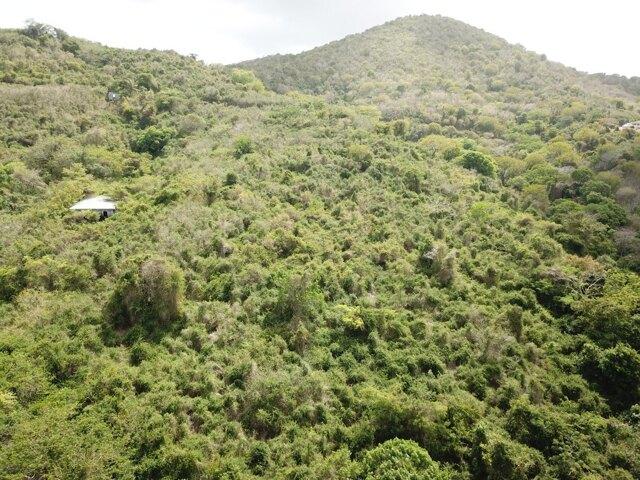 Grove Place Pr, Saint Croix, Plot For Sale