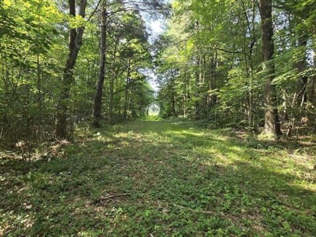 Grove St, Paxton, Plot For Sale