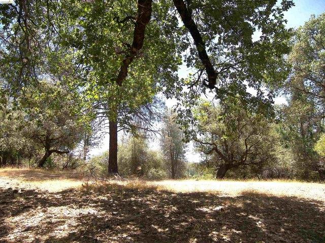 Groveland, CA 95321