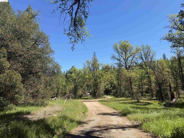 Groveland, CA 95321