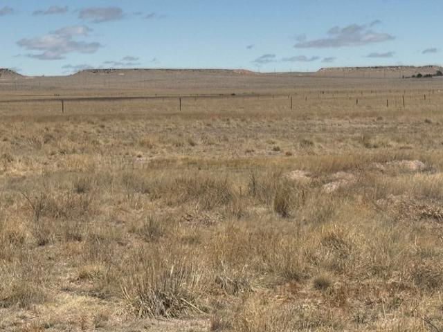 County Road 122, Grover, CO 80729