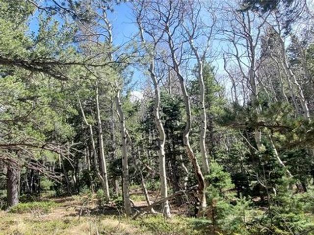 Grojean Dr Lot 2560, Fort Garland, CO 81133