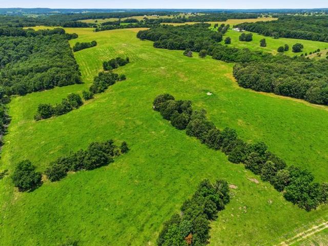 Gravel Point Rd Unit 1, Mountain Grove, MO 65711