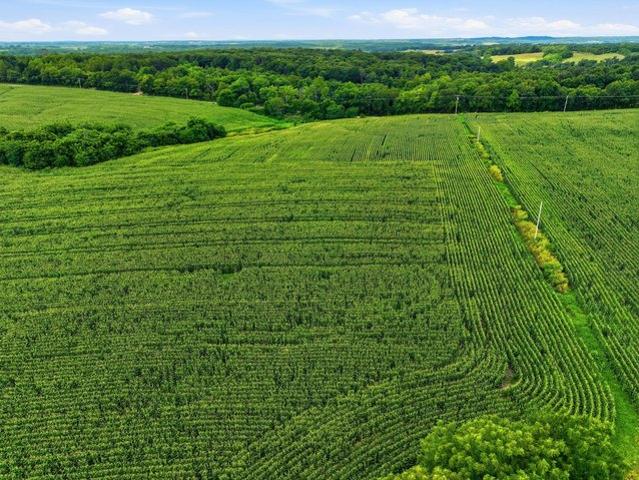 Gravel Point Rd Unit 2, Mountain Grove, MO 65711