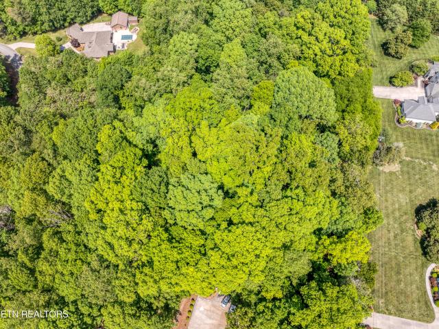 Gravelly Hills/Forrest Ridge, Louisville, TN 37777