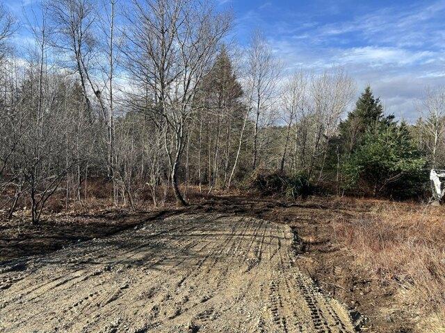 Gray Meadow Rd, Orland, Plot For Sale