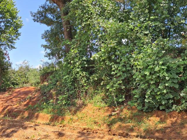 Gray Academy Road, Ashland, MS 38603