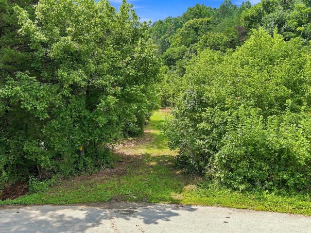 Gray Rd, Maynardville, TN 37807