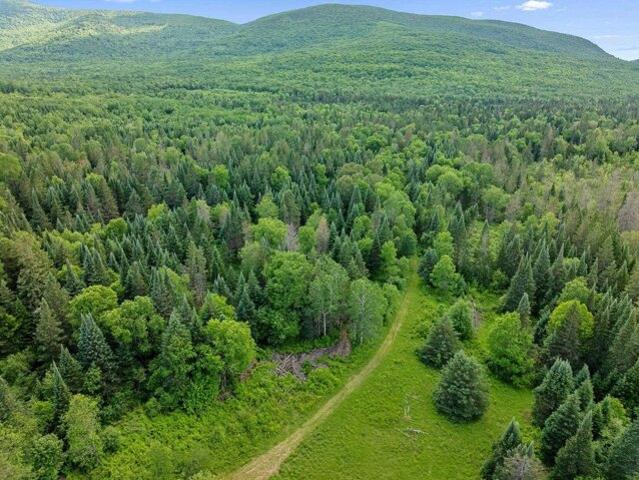 Gray Rd, Columbia, Plot For Sale