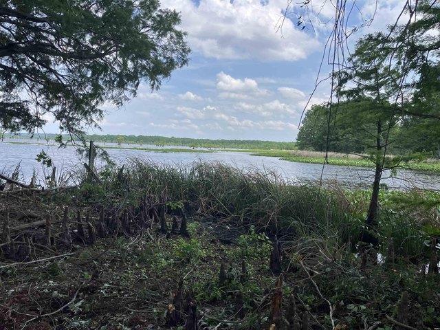 Grays Camp Ln, Tiptonville, TN 38079