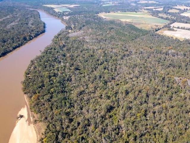 Grays Landing Rd, Uvalda, GA 30473