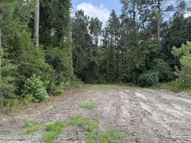 Grays Ln, Elizabethtown, NC 28337
