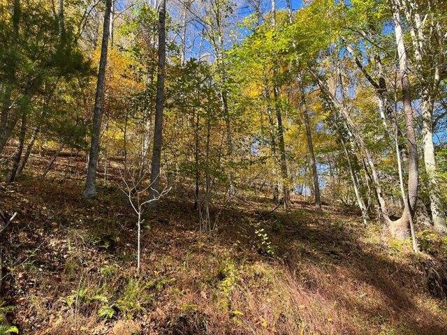Grayson Pkwy Lot A, Galax, Plot For Sale