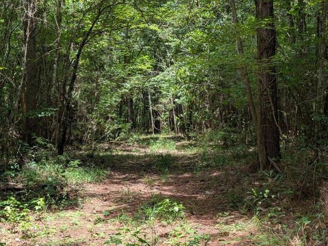 Graball Rd, Clopton, AL 36310