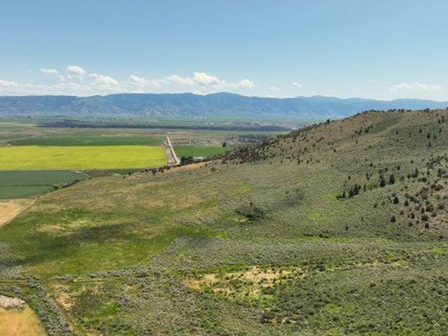 Grace, ID 83241