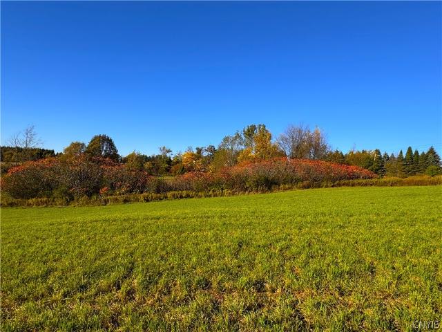 Graffenburg Road