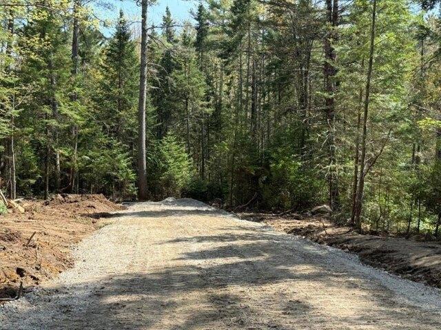 Grafton NH 03240 105116848