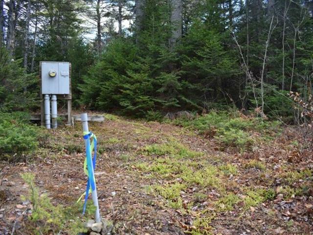 Grafton Pond Rd, Enfield, Plot For Sale