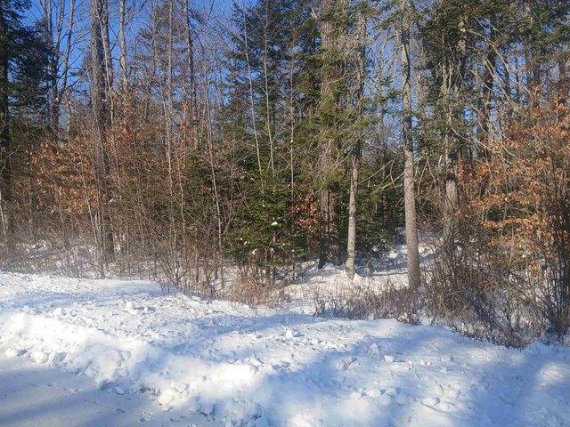 Grafton Pond Rd Lot 47 3, Enfield, NH 03748