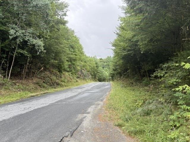 Gramling Dr, Fairlee, Plot For Sale