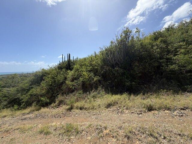 Grange Stock Est # Co, Saint Croix, Plot For Sale