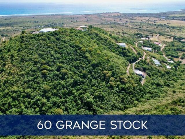 Grange Stock Est # Co, Saint Croix, Plot For Sale