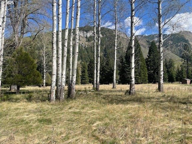 Fir Rd, Lostine, OR 97857