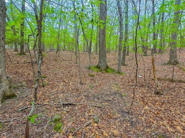 Grand View Dr Lot 499, Sunrise Beach, MO 65079