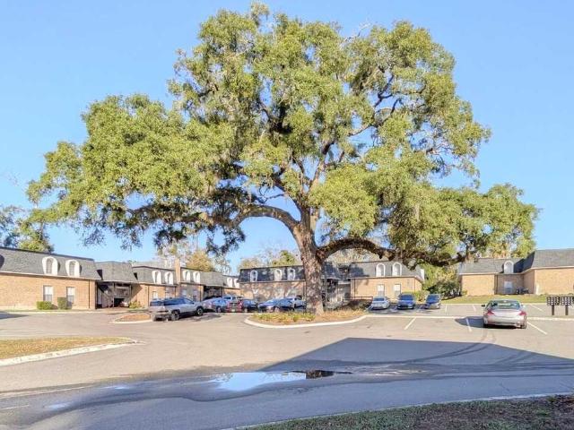 Grand Oaks Apartment 1 Bedroom Apartment for Rent at 7201 Arlington Expy, Jacksonville, FL 32211 Arlington