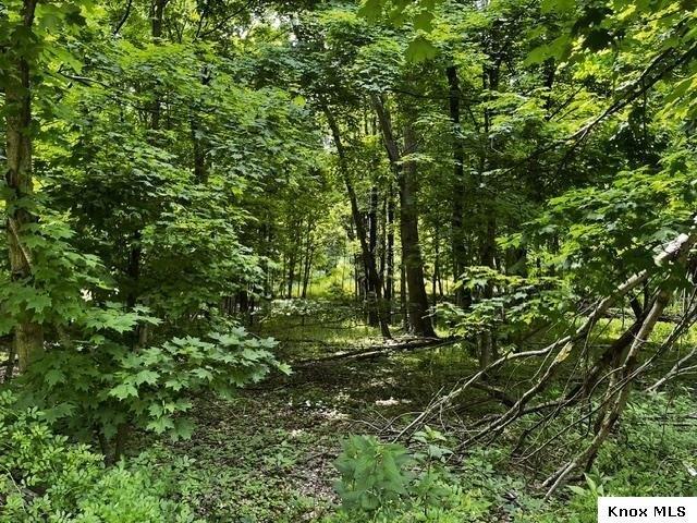 Grand Ridge Ests Lot 199, Howard, OH 43028