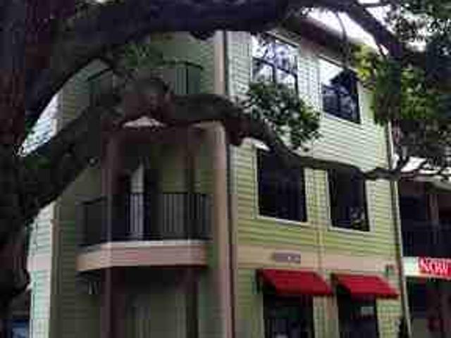 Grand Sheridan 2 Bedroom Apartment for Rent at 4600 S Sheridan Rd, Tampa, FL 33611 Sun Bay South