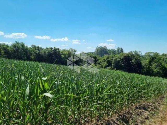 Grande Área a venda nas proximidades do Centro de Boa Vista do Sul