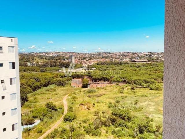 Grande oportunidade Reserva Amoreiras