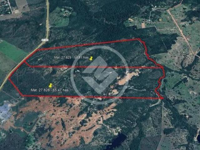 Grande Terreno 115 hectares na MT 402