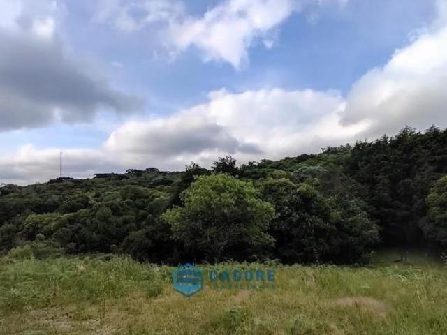 Grande Terreno de 10000m² no Bairro Século XX