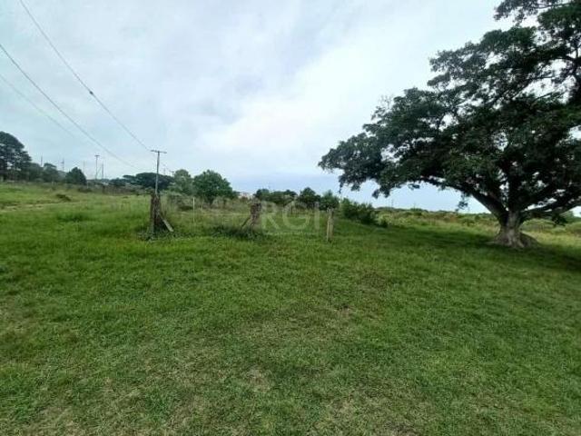 Grande Terreno na hipica