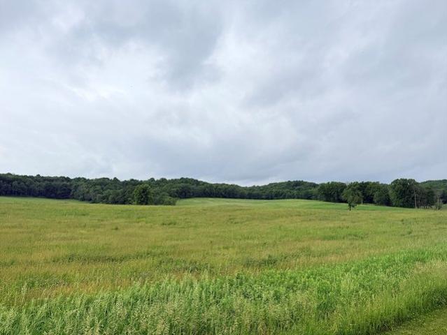 Grandview Dr, Fall Creek, WI 54727