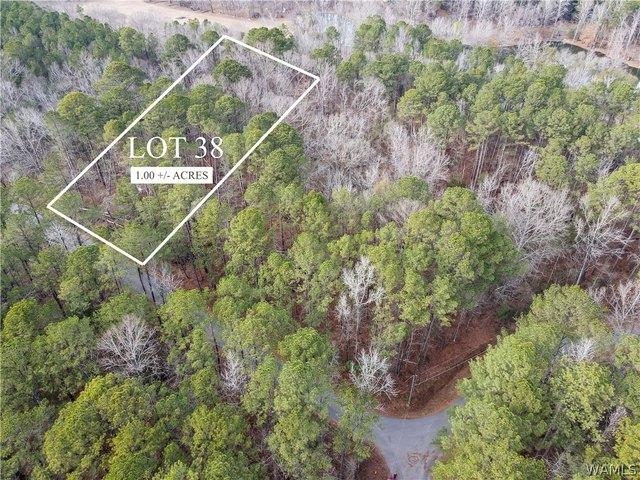 Grandview Dr, Northport, AL 35475