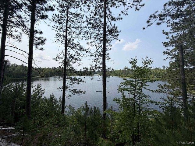 Granite Lake Rd, Republic, MI 49879