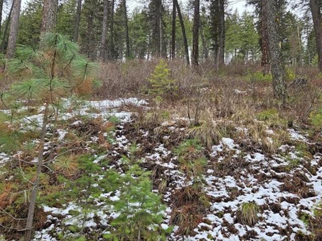 Granite View Dr, New Meadows, ID 83654