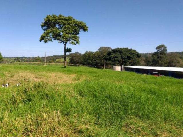 GRANJA 10 HECTARES TODA PLANA COM LAGOA E MUITA ÁGUA A 9 KM DE CAJURU/MG