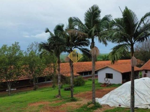 Granja avícola aviários a venda em Toledo PR
